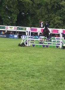 16yr Old 1.20m Showjumper – Amateurs/Young Riders – Nagero Irish Sport ...