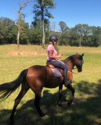 *SOLD TO DENMARK*148cm top showjumping pony – Nagero Irish Sport Horses